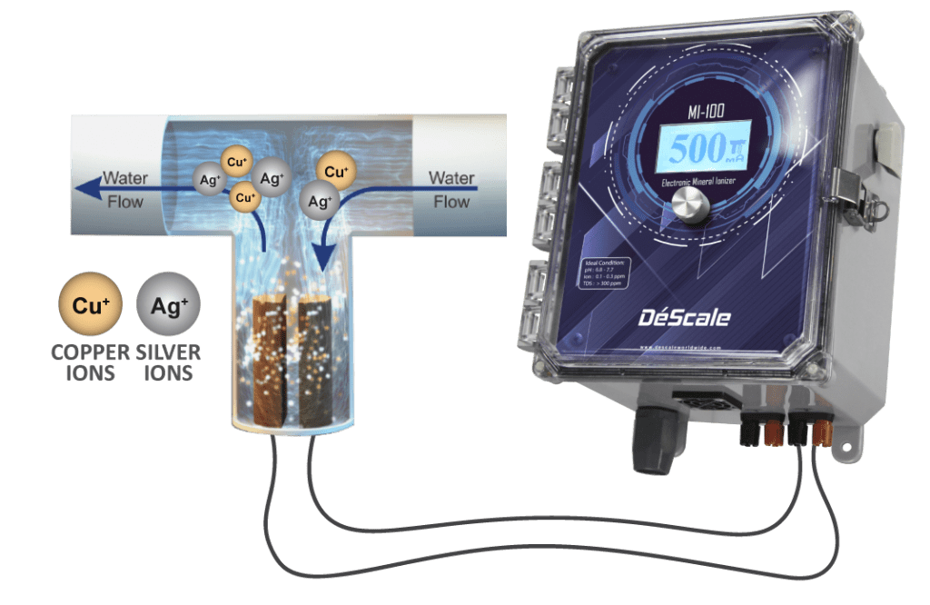 អំពីផលិតផល - DeScale